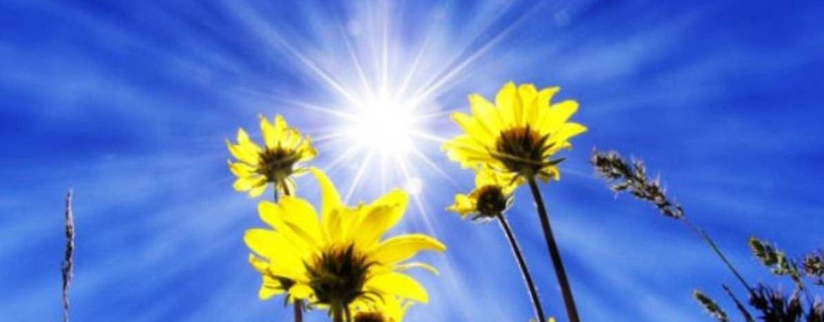 Анна Присяжная