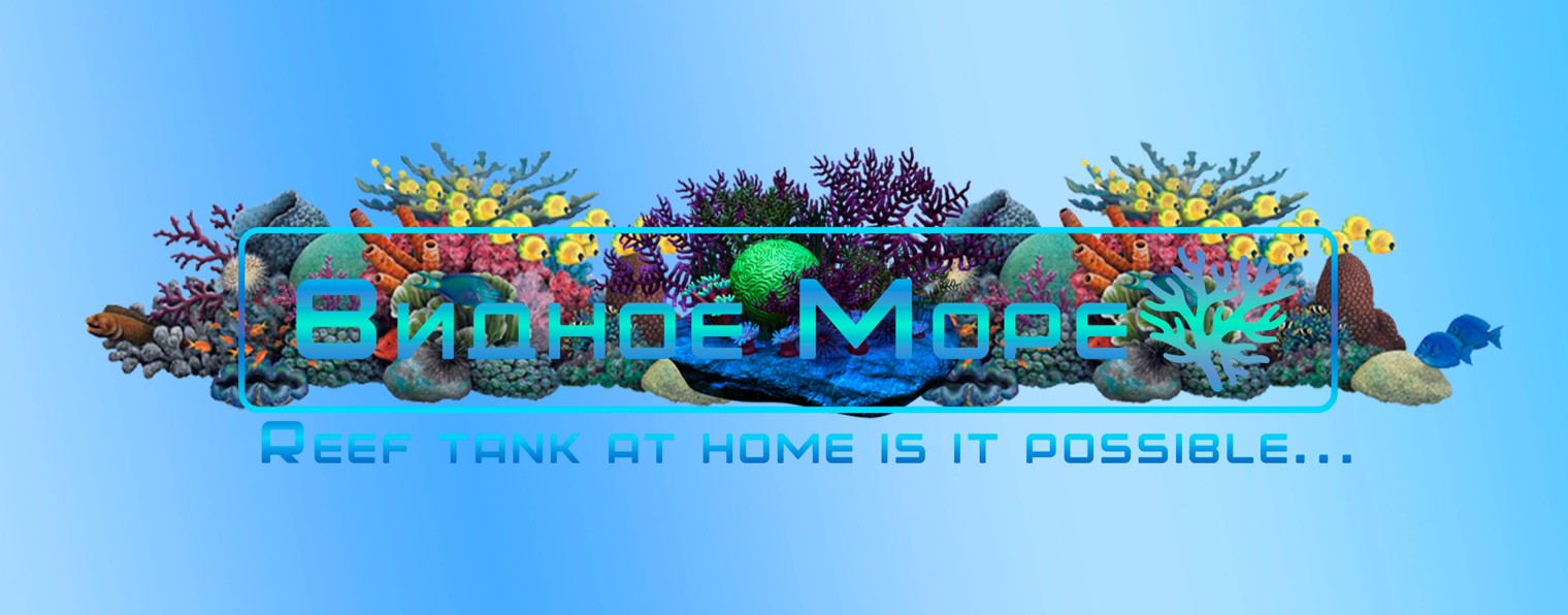 Видное Море