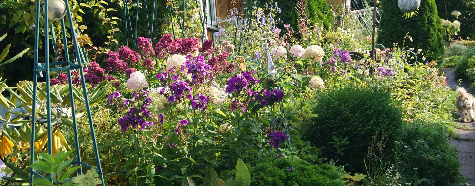 Нескучный сад на скале