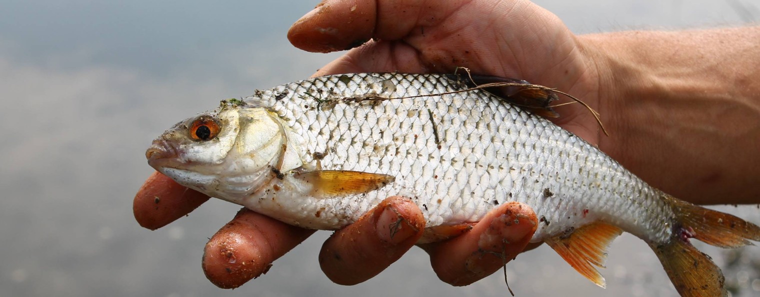 Рыбалка в Поволжье