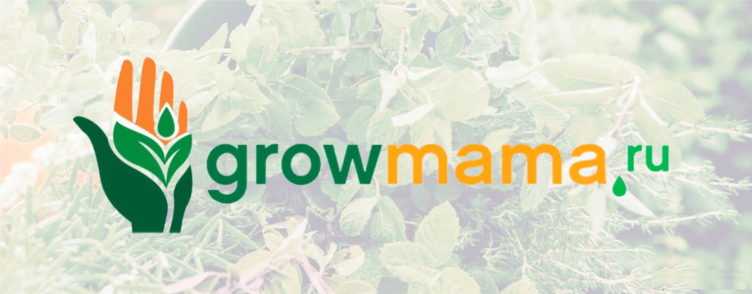 growmama TV channel
