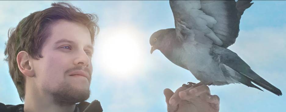 Голубь Райс и Компания