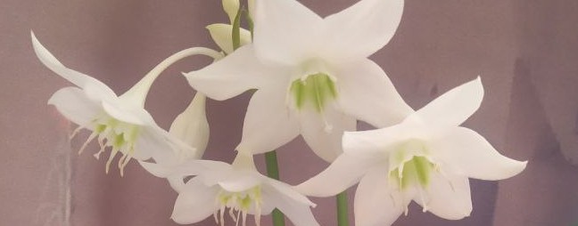 Людмила Нечаева. О шитье и вязании.