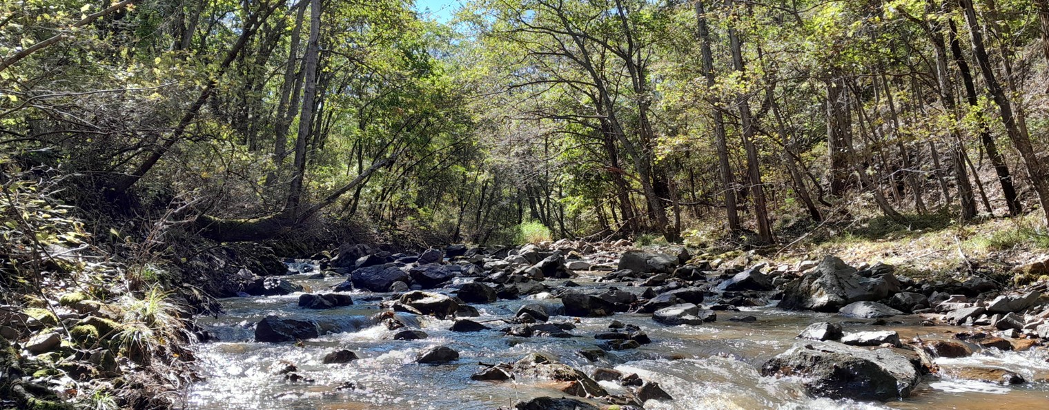 Приморье through life