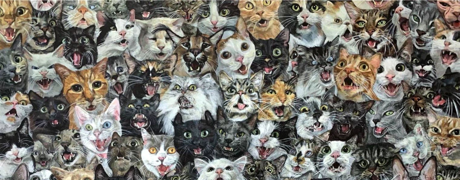 Забавные видео