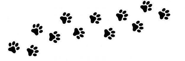 Кошкина Мать