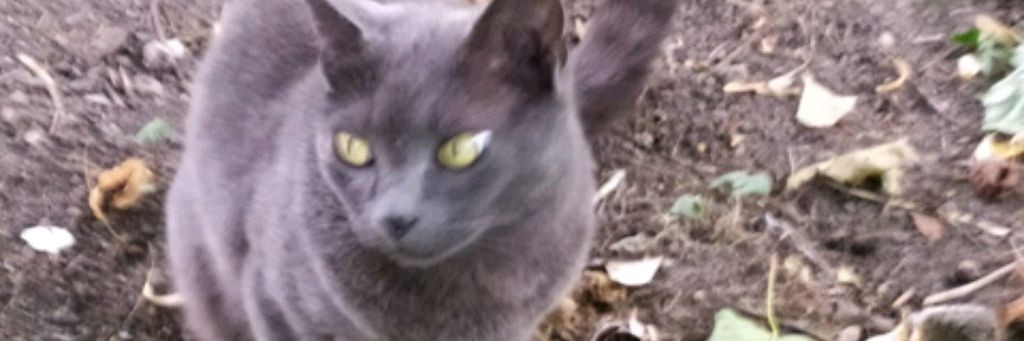 🔥⚡️🌈💫Мистер Георгий и Мисс Соня💫🌈⚡️🔥