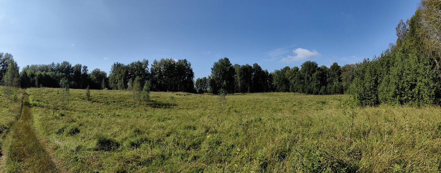 Друид Странник