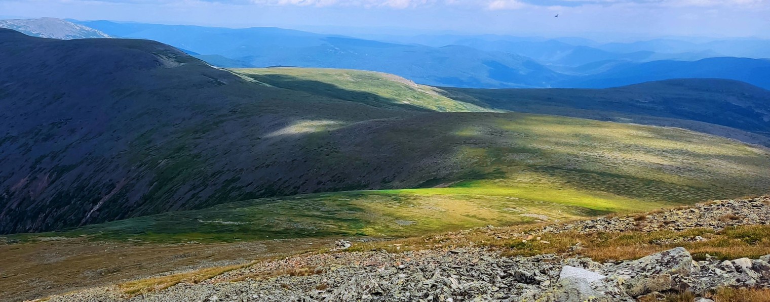 Арефьев Евгений