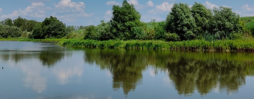 Курский рыбак