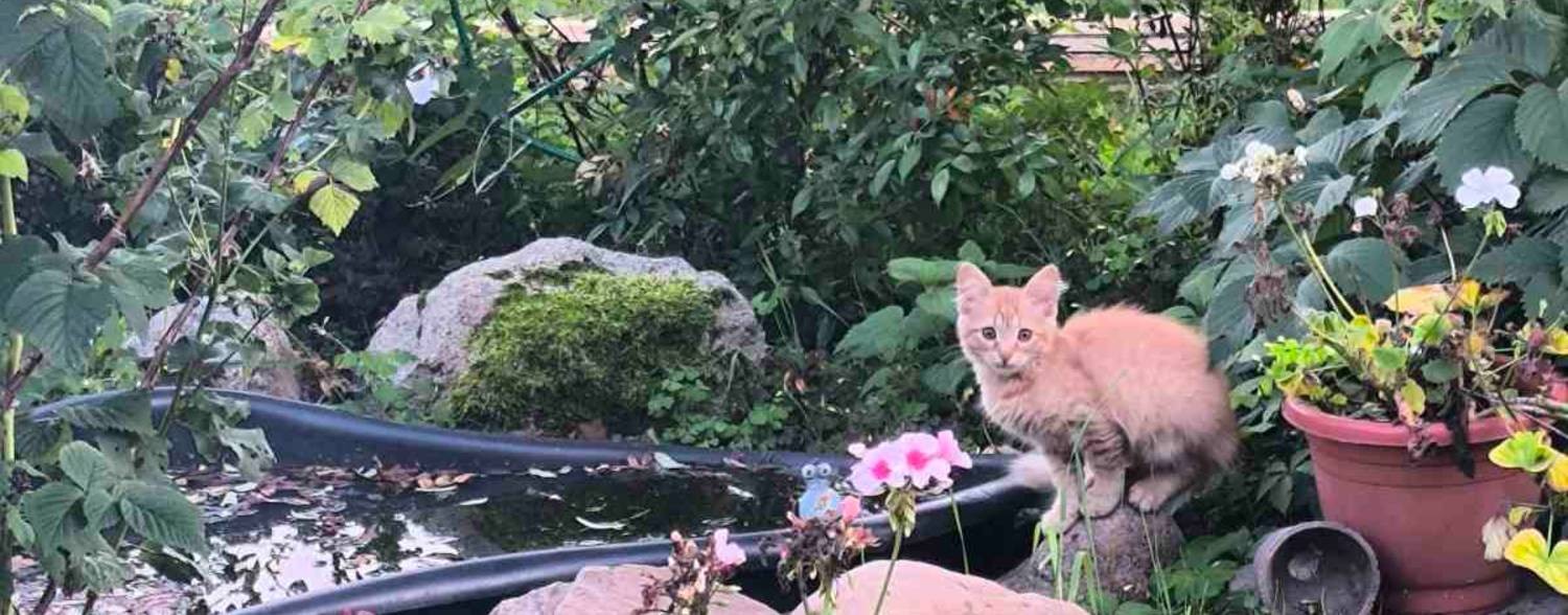 Самоделки и не только