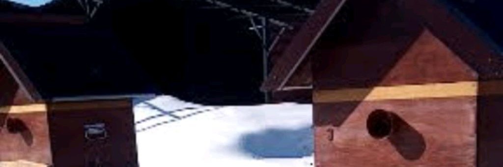 Antiплагиат_13