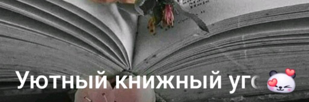 Уютный книжный уголок 📚