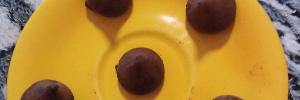 Привет Я Эмилия