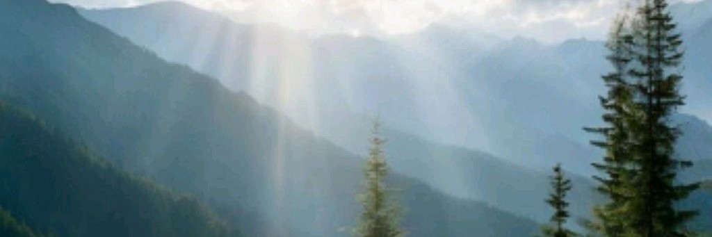 Альянс Психологов