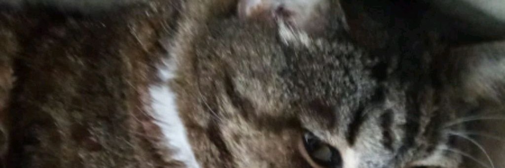 Ваня На Диване Крутой