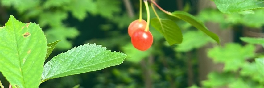 Вкусно, но можно 🤌🏻