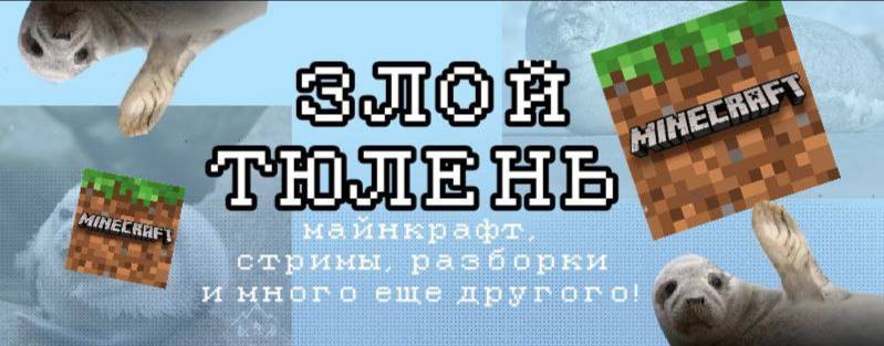 Злой тюлень