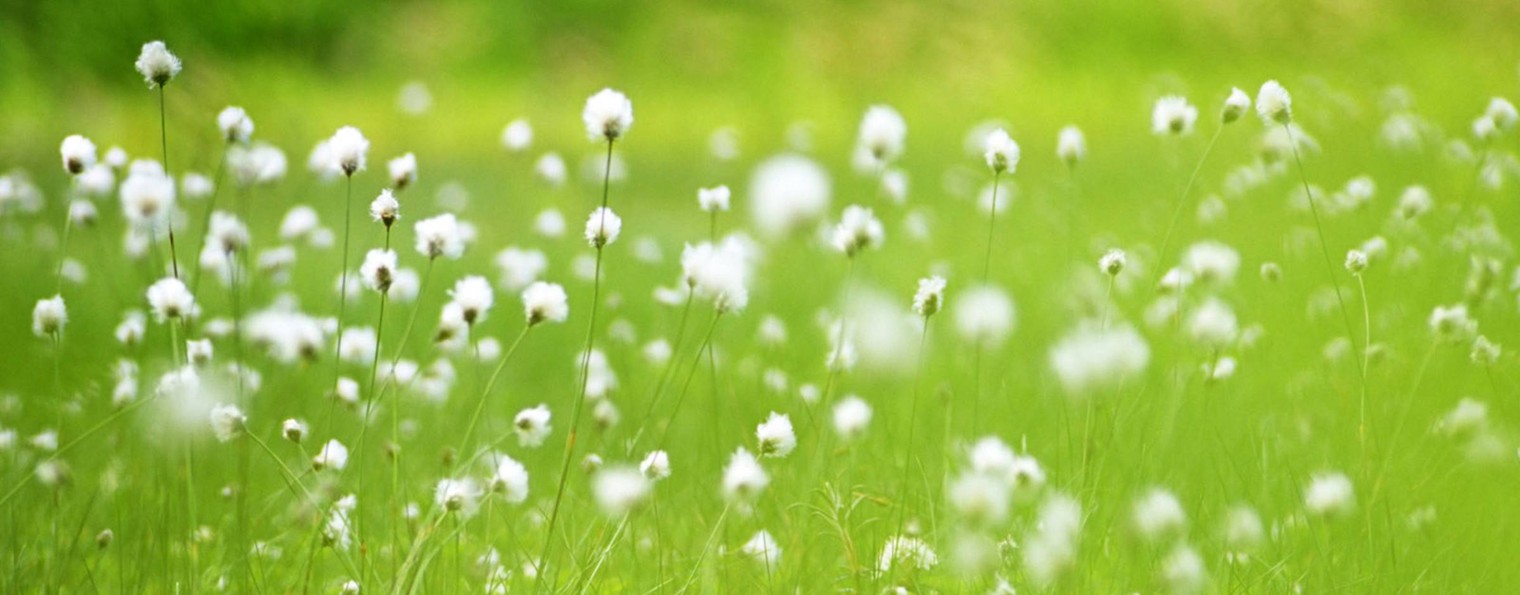 Йога для всех