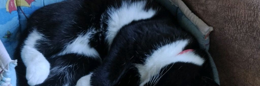 ПК веселухи и многое другое