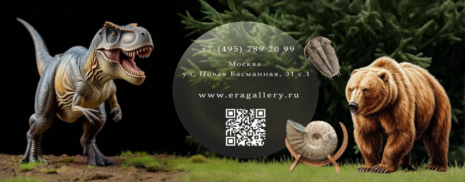 ЭРА ГАЛЕРЕЯ-палеонтологический музей