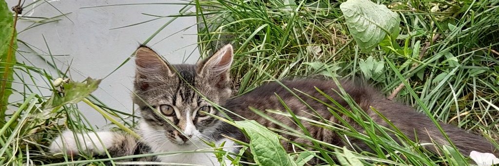 💖p(^рисунки^)q💗