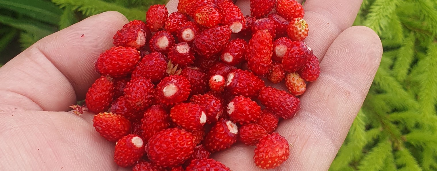 Чайник вскипел