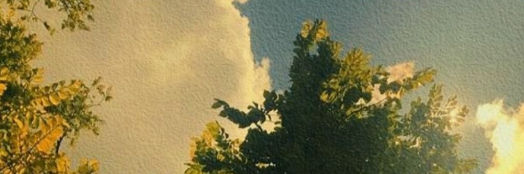 Чай с Маргаритой