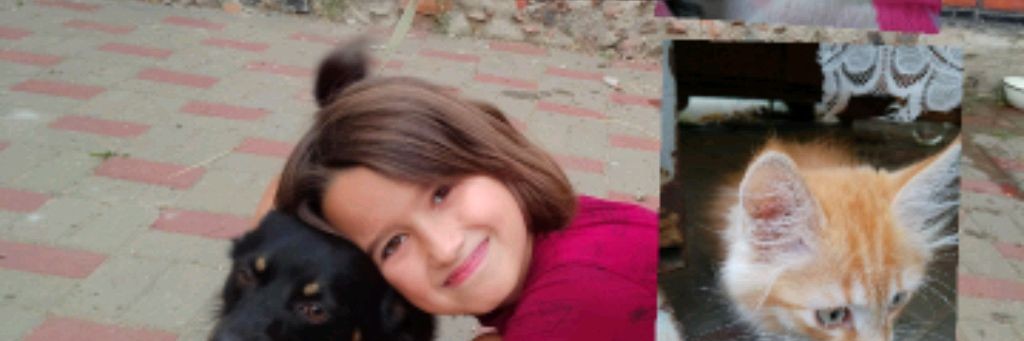 Котопёс И. Лера ✔️ ( original оригинал )