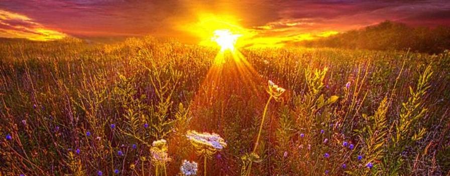 Александр Белик