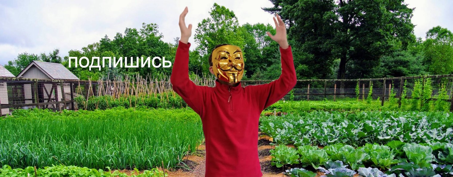 Курочка Джек!?@e