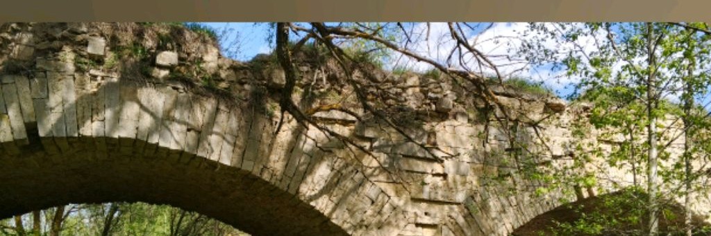 Панда с Вами