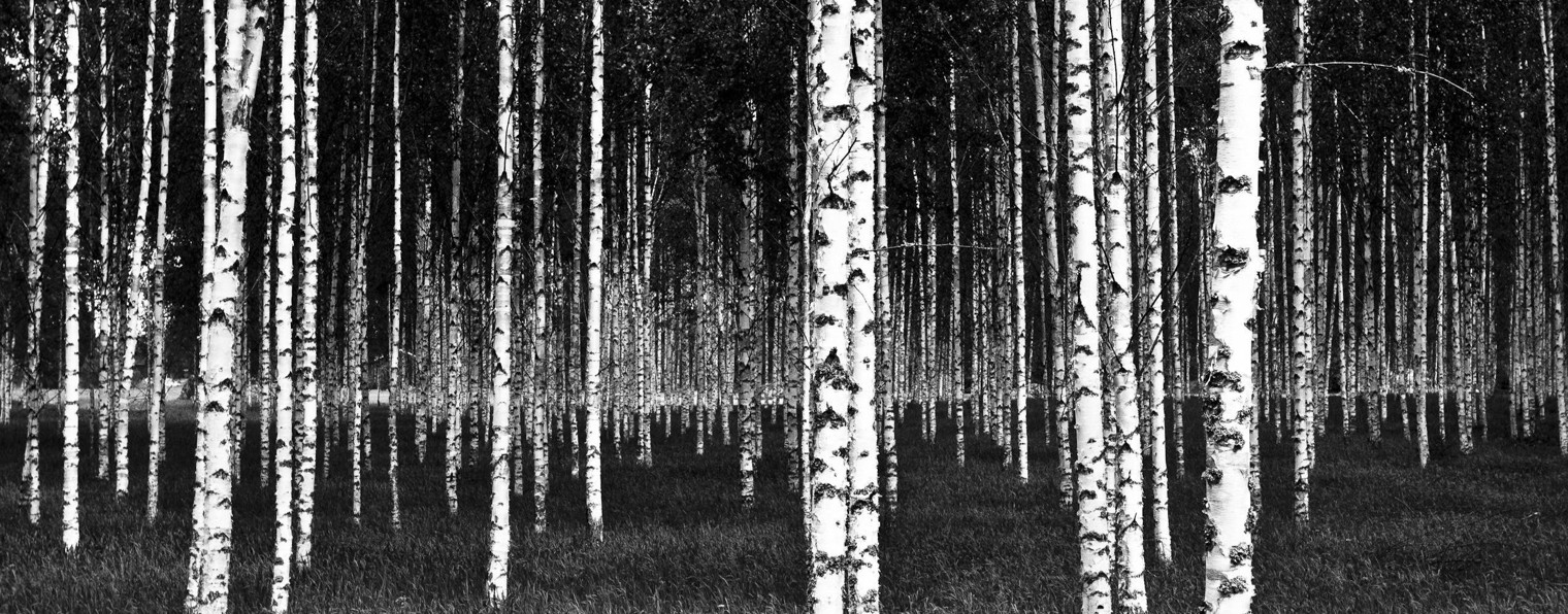 Канал "KolyaMart"