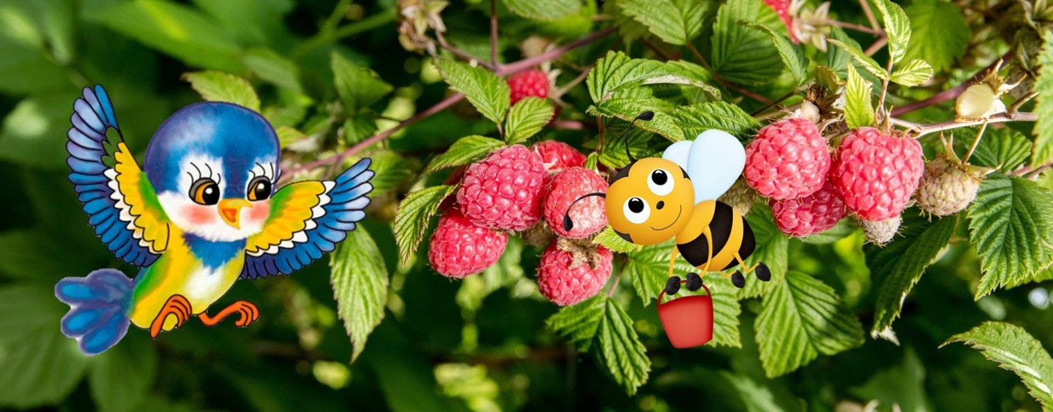 Сказки бабушки Малины