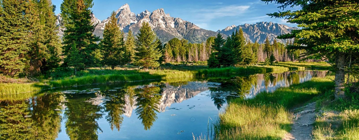 Светлая сторона АСМР