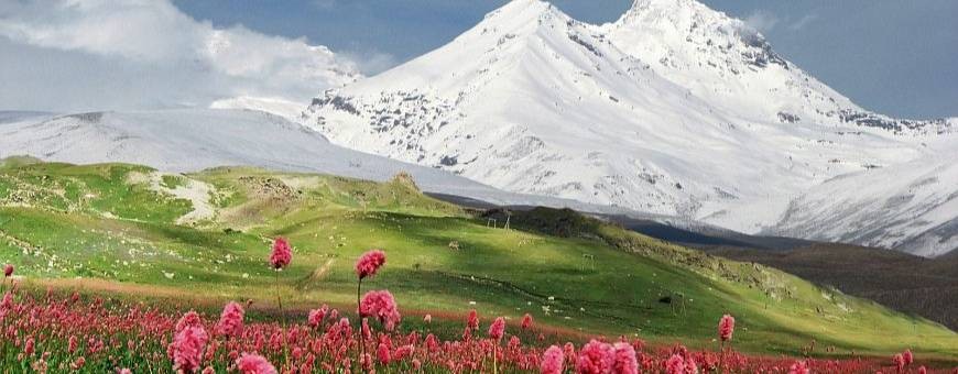 Путь к здоровью