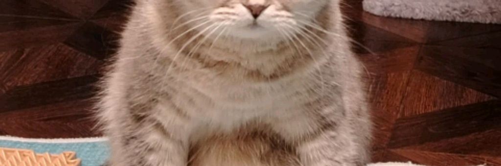 Уральские Пельмени