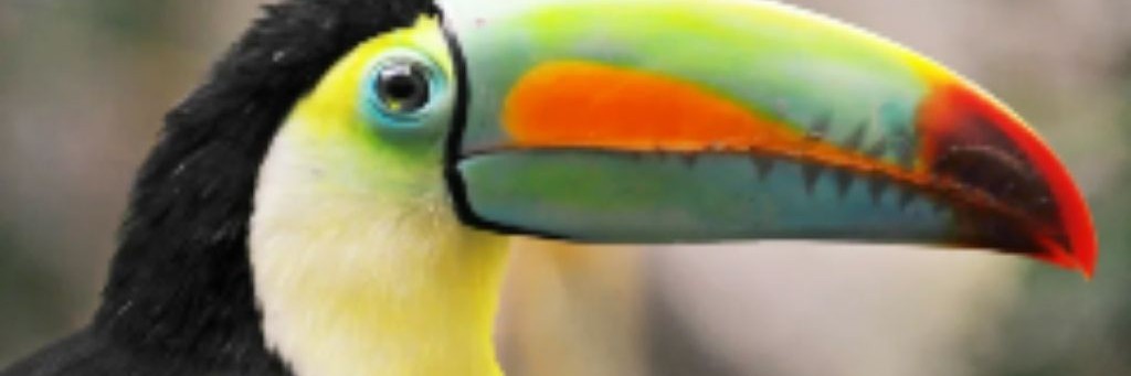 Славик    И  Кузя.