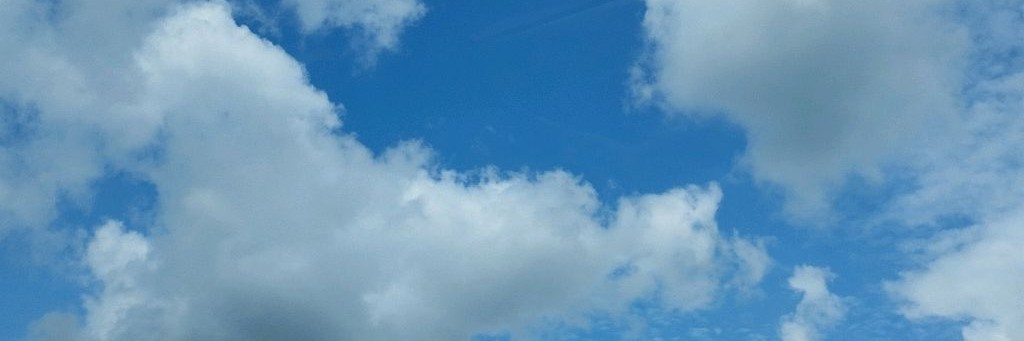 Арсеньевы Тут