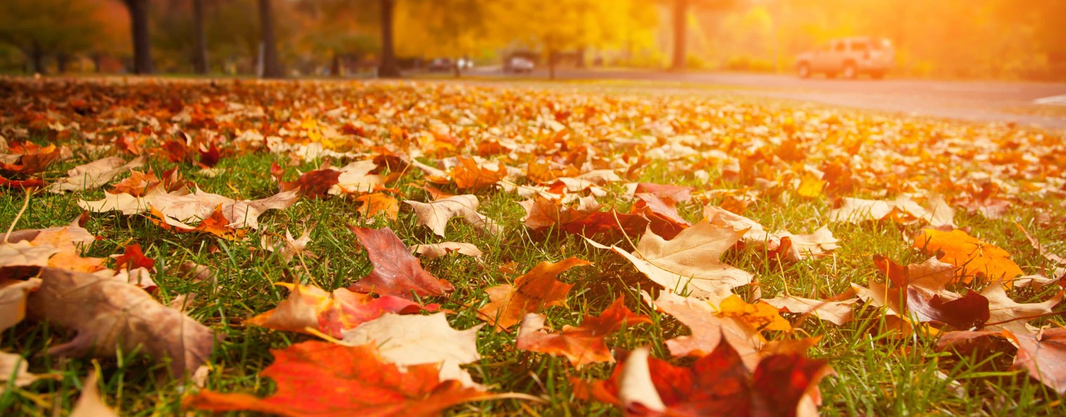 Юлия Канал для добрых людей