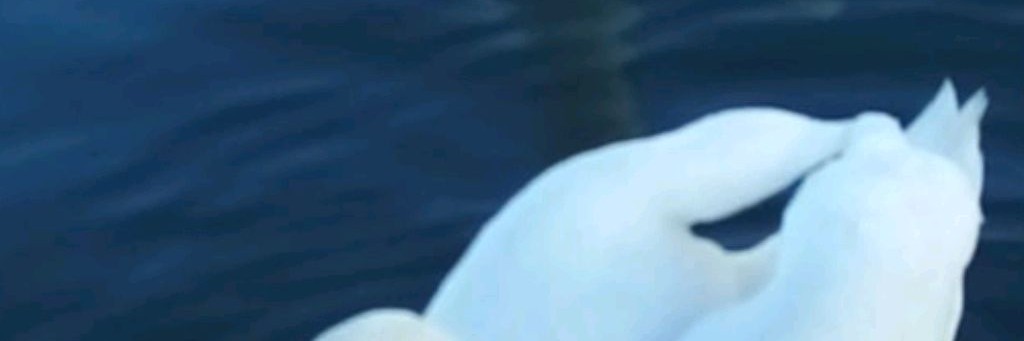 Крым-Керчь-Крым