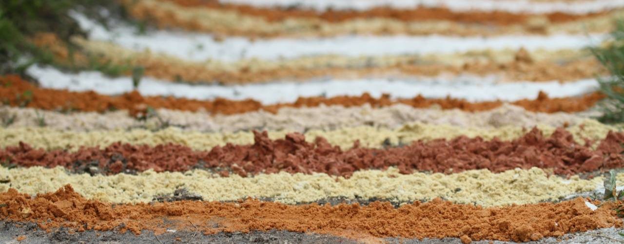 Нематериальное этнокультурное достояние 48