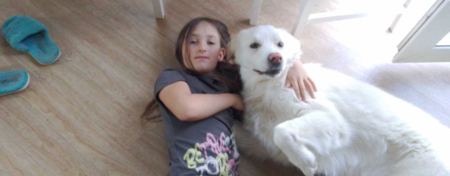 Наши  питомцы 🐹🐹🐹🐹🐹🐈⬛🐈🐕🦔🦔🐦⬛