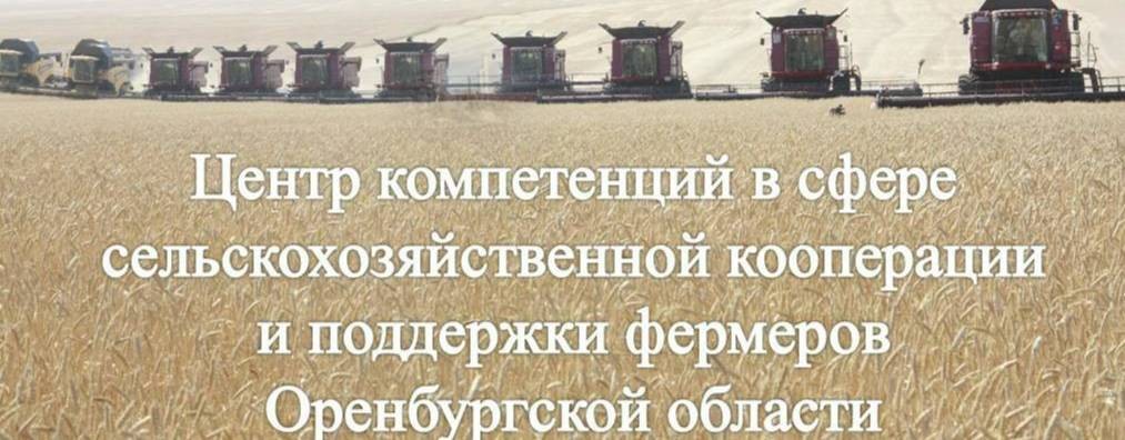 Центр компетенций  Оренбургской области