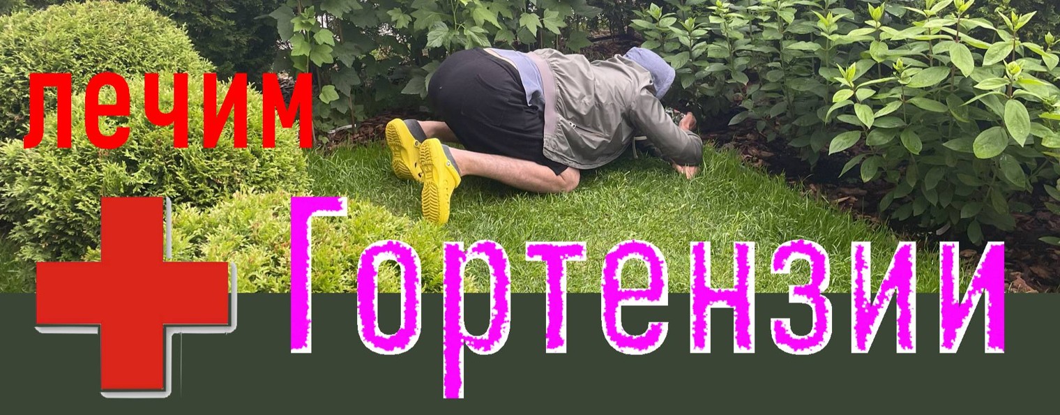 СЕЛЯВИ  Ребята