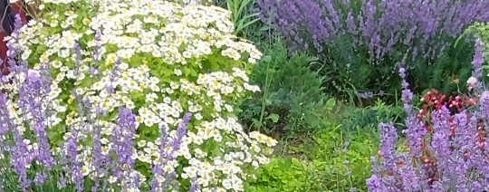 Живу не в городе 👍