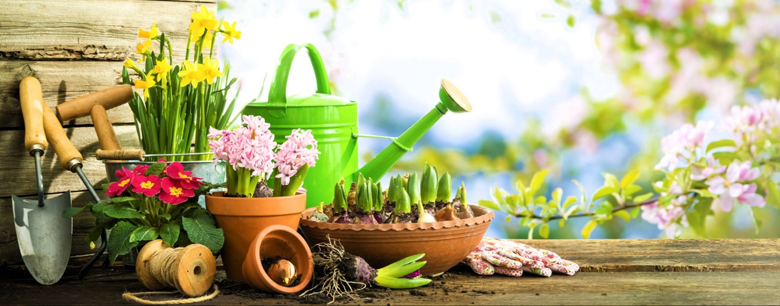 Без Тормозов