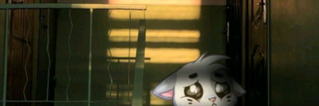 перезаливы