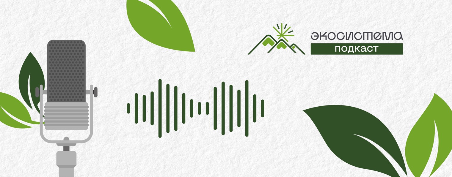 Экосистема.Подкаст