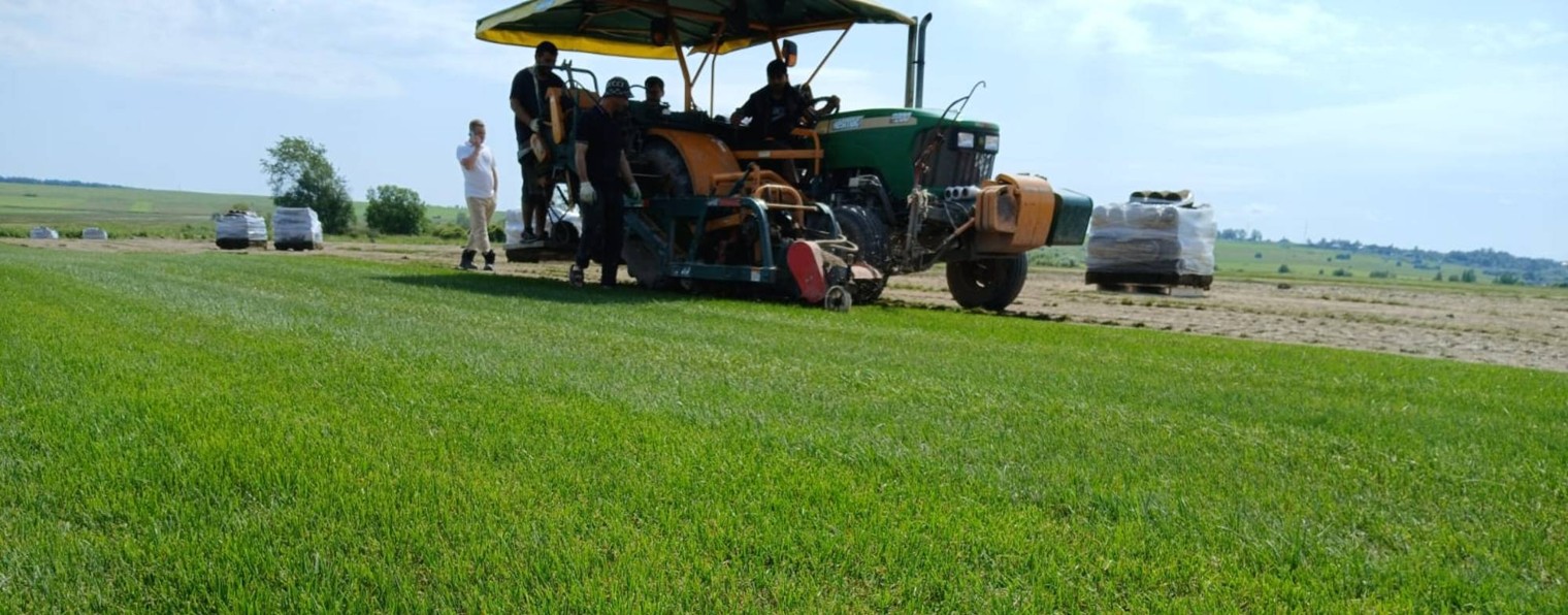 Производство Рулонного Газона СПб Эко Газон